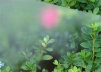 China Patterned Solar Panel Glass / Low Iron Tempered Glass For Solar Panels CE Approved for sale