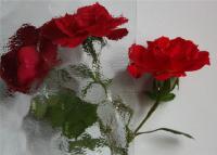 China Figured Patterned Glass Sheets 3.5mm 4mm 5mm Thickness For Bathroom Enclosures for sale