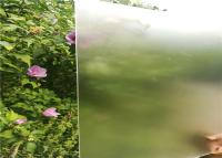 China High Transmittance Tempered Solar Glass 3.2MM Thickness Flat Shape Energy Saving for sale