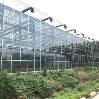 China 4mm Superior Tempered Pattern Greenhouse Roof  Glass for Vagetables and Plants for sale