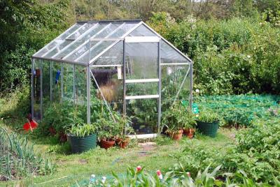 China 4mm Superior Tempered Patterned Glass Panel for  Plants Growing Greenhouse for sale