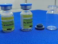 China Borosilicate Glass Injection Vials 5ml 20ml with Aluminum Plastic Cap for Pharmaceutical Use for sale