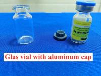China USP Type Borosilicate Glass Vials 5ml 10ml 15ml 20ml Clear Injection Vials with Caps for sale