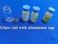 China Amber Borosilicate Glass Injection Vial 5ml 20ml Sterile Serum Bottle for Pharmaceutical Use for sale
