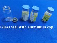 China Low Borosilicate Glass Vial 10ml Injectable Sterile Empty Vials for Lyophilized Use for sale