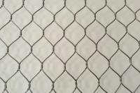China Black Oxidized Stainless Steel Aviary Netting 2mm Diameter Aviary Mesh for sale