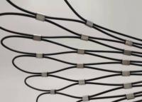 China Black Oxidized 2.0mm Cable Zoo Mesh 50*50mm SS316L Zoo Rope Netting for sale