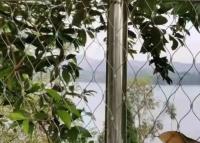 China Manufacturer Of AISI 304 40mm*40mm  Wire Rope Balustrade Wire Mesh CE Certified for sale