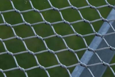 China 304 Stainless Steel Wire Rope Mesh Net For Garden Farm Climbing Plant Green Wall for sale