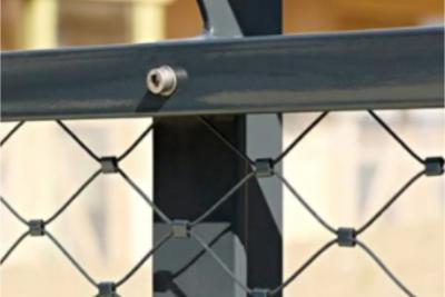 China High Strength Cable Aviary Wire Netting Aviary Netting For Chicken Coop for sale