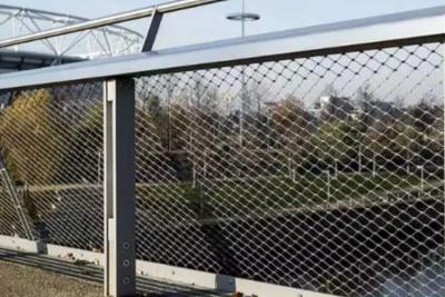 China PVC Coated Rope Net Fence 316L 1.0mm Wire Diameter for sale