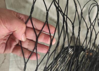 China Black Oxidized 2.0mm Cable Zoo Rope Mesh 60*60mm SS304 Zoo Rope Netting for sale