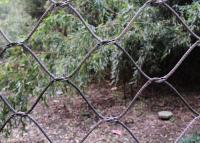 China Stainless Steel Wire Rope Mesh For Balustrade Barrier & Adventure Park Safety for sale