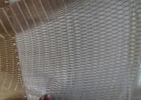 China 1.5mm AISI 304 or 316 Stainless Steel Cable Mesh with 30mm Mesh Size for Zoo Aviary Safety Fencing for sale