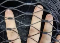 China Black Oxidized 25*25mm Aviary Netting Ss304 Cable Mesh for sale
