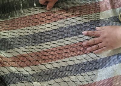 China 1.5 Mm X Tend Zoo Rope Netting 16*16mm  Aviary Netting Wire Rope Net for sale