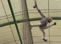 China SS 7*19  1.5mm Stainless Steel Cable Mesh  For Saftey Protection Net for sale