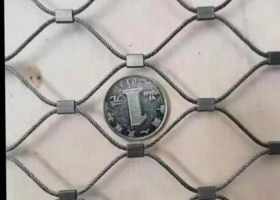 China AISI316 25mm Aviary Stainless Steel Cable Netting For Parrots Fence for sale