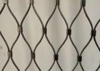 China 30*30mm PVC Coated Light Weight Aviary Rope Netting With 1.5 Mm Wire Diameter For Bird Cages for sale