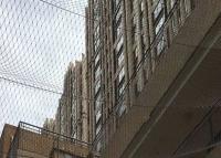 China 304 Stainless Wire Rope Mesh 50mm Steel Cable Netting For Fall Protection for sale