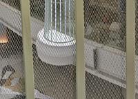 China SS316 1.5mm Wire Diameter Aviary Rope Netting for Zoo Protection Mesh Fence with Corrosion Resistance for sale
