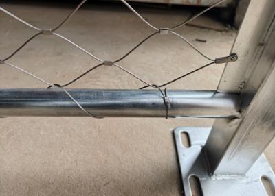 China Stainless Steel Wire Zoo Mesh Animal Enclosure For Animal Cages And Rope Mesh for sale