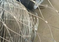 China Anti-Falling Flexible 304 Stainless Steel Wire Rope Mesh for Security Protection Fence for sale