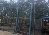 China Flexible Stainless Steel Woven Wire Rope Mesh  for Stair Railing Aviary Fence for sale