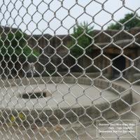 China Stainless Steel Wire Rope Mesh Nets-High Strength Customized Size For Zoo Safety for sale