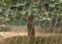 China SS304 Stainless Steel Aviary Rope Netting For Protective Climbing Frame Net for sale