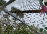 China Durable Stainless Steel 316L Wire Rope Mesh with 50mm Mesh Size for Flexible Safety Net Applications for sale