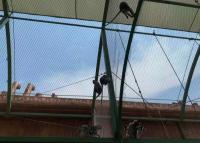China Knotted Mesh SS304 3mm Cable Netting Easy Install  For Animal Fencing for sale