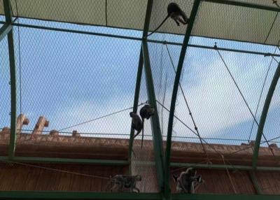 China Knotted Mesh SS304 3mm Cable Netting Easy Install  For Animal Fencing for sale