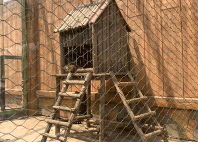 China 316 Stainless Steel  Wire Rope Mesh For Animal Cage Bird And Garden Netting for sale