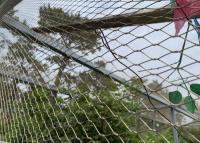 China 316 Flexible Stainless Steel Wire Rope Mesh Netfor Plant Green Climbing for sale