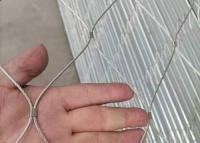 China AISI304 2.5mm Ferrule Wire Rope Mesh Anti Rust  For Green Wall SGS Certified for sale