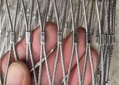 China  Ferrule Woven Aviary Mesh High Durable Stainless Steel Net for Bird Fencing for sale