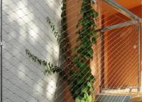 China AISI304 2.5mm Ferrule Wire Rope Mesh Anti Rust  For Green Wall SGS Certified for sale