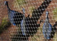 China Anti Rust 316L Stainless Steel 3.2mm Wire Rope Net Fence for Zoo Animal Enclosure for sale