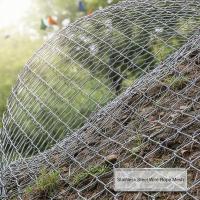 China Stainless Steel  Wire rope Mesh For Bird Aviaries And Slope Protection netting for sale