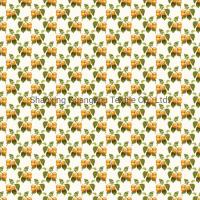 China Apricot Digital Print 1x1 Cotton Spandex Rib Fabric 220GSM 175cm Width for sale
