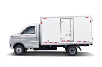 China Shineray Cargo Van Mini Cargo Lorry Truck Light Truck Gasoline with Front 4 Rear 2 Radar for sale