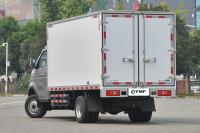 China Xinyuan T50 EV Truck Affordable 280km Range Van with Macpherson Front Suspension for sale