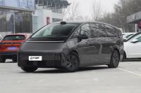 China Lithium Iron Phosphate Battery 7 Seat Mpv Electric Lixiang MEGA Ev Car Long Range 4WD for sale
