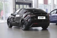China Lithium Iron Phosphate Battery 2022 Tesla Model Y RWD Electric Car with 556km Range for sale