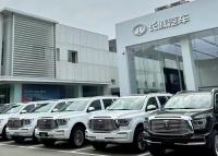 China Sunroof Tank 500 5 Seats 5 Doors Medium Large Size SUV Swing Door Petrol Used Car 2023 Great Wall 3.0t for sale