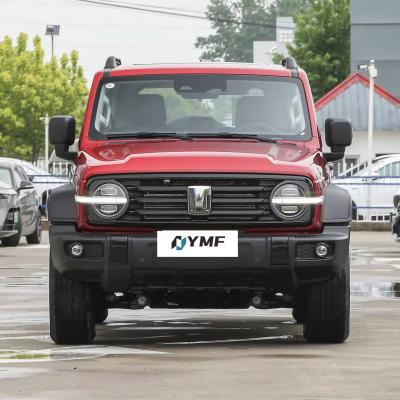 China Electric Steering System Tank 300 Jeep SUV for Full Size SUV 2023 Great Wall Compact for sale
