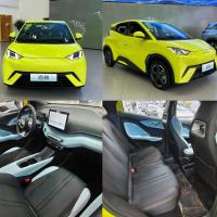 China 30.8 KWh Battery Capacity BYD Seagull Haiou Hatchback Mini EV Car for Adults in 2023 for sale