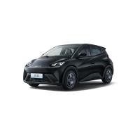 China Green Byd Seagull 2023 Manufacture Motor Energy Vehicle Electric Ev Car in Black for sale