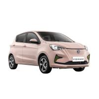 China Original Benni E-star Bumper Door Cover in Various Colors for Auto Spare Parts for sale